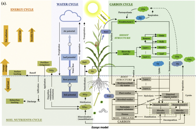 RESEARCH – DIGITAL AGRICULTURE GROUP